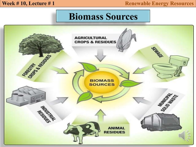 Renewable energy resources_ biomass energy introduction | PPT