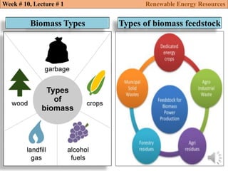 Renewable energy resources_ biomass energy introduction | PPT