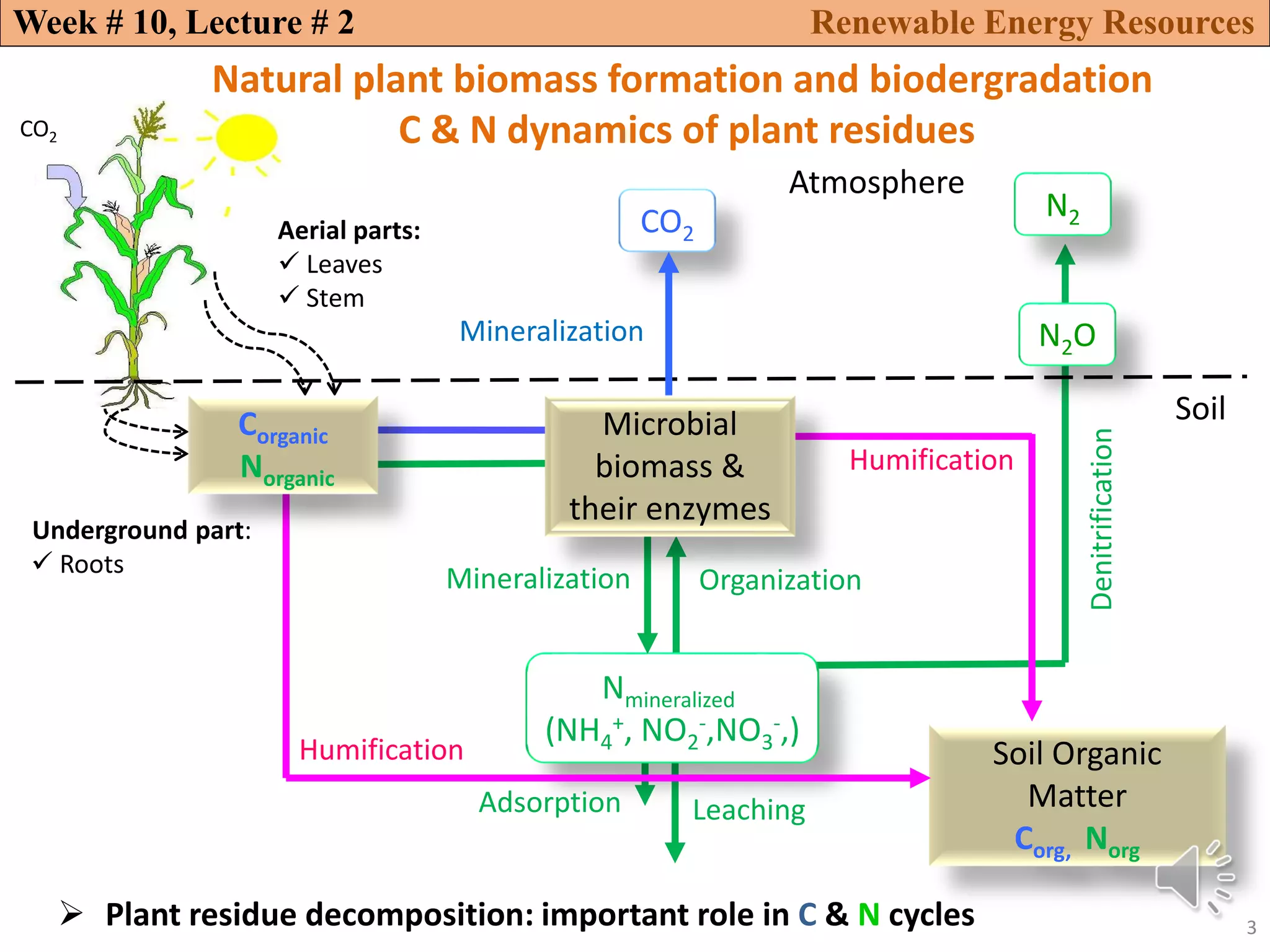 Renewable energy resources_ Natural biomass degradation | PDF ...