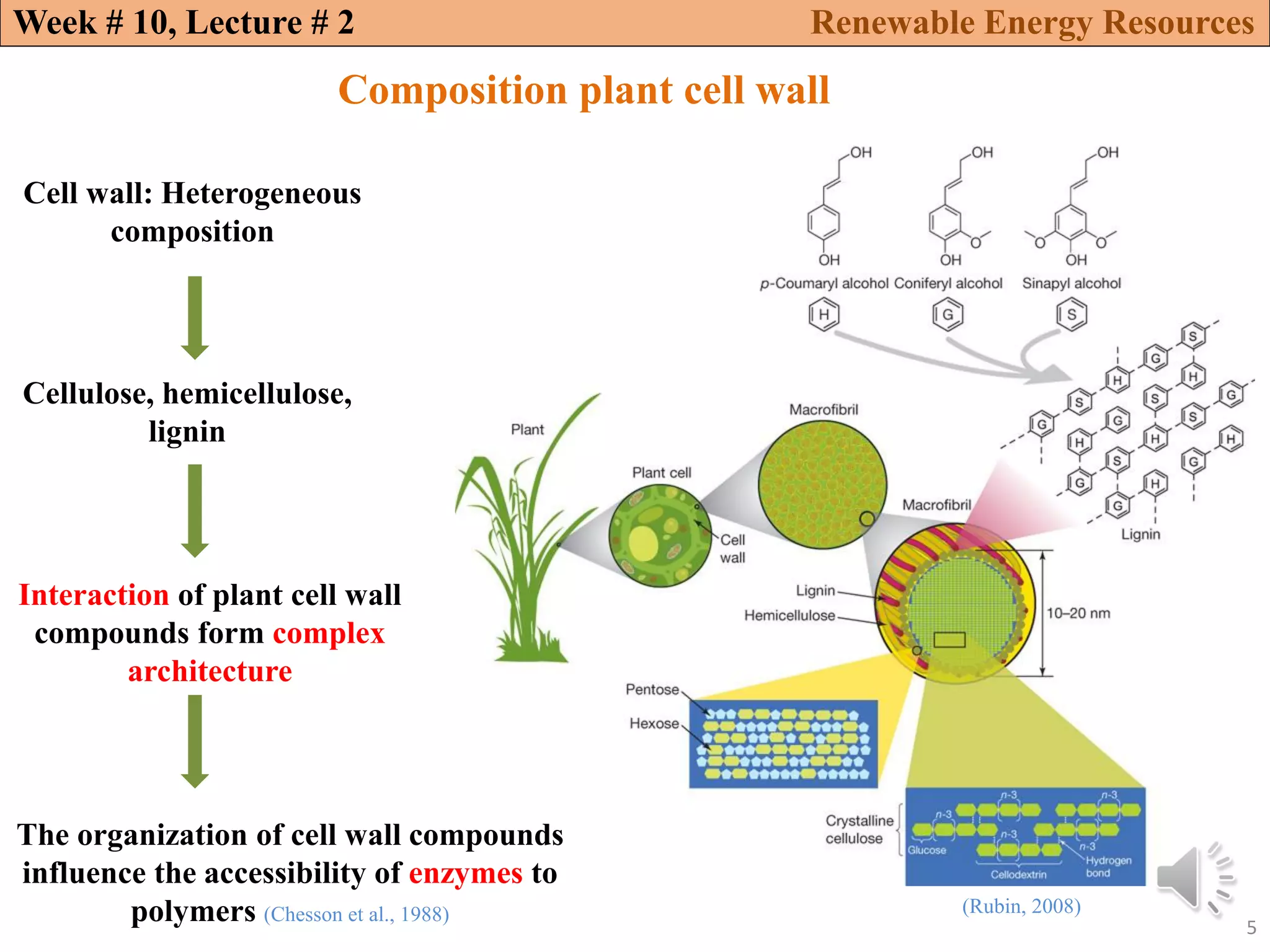 Renewable energy resources_ Natural biomass degradation | PDF ...