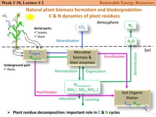 Renewable energy resources_ Natural biomass degradation | PDF ...
