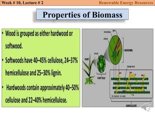 Renewable energy resources_ Natural biomass degradation | PDF