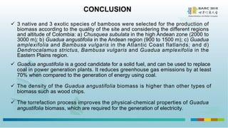 Renewable Energy_Ximena Londono_Sustainable bamboo biomass from ...