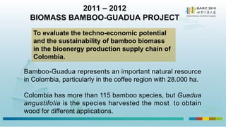 Renewable Energy_Ximena Londono_Sustainable bamboo biomass from ...
