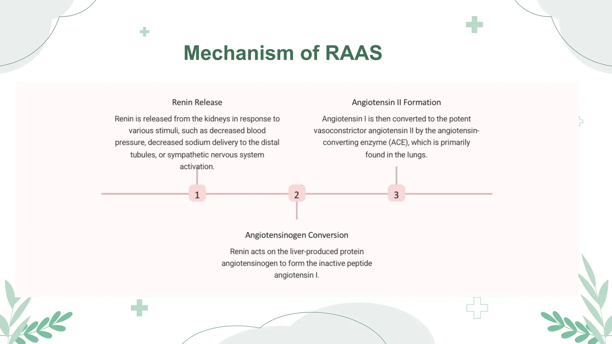 RENIN.pptx physiology ppt………….Renin system | PPTX