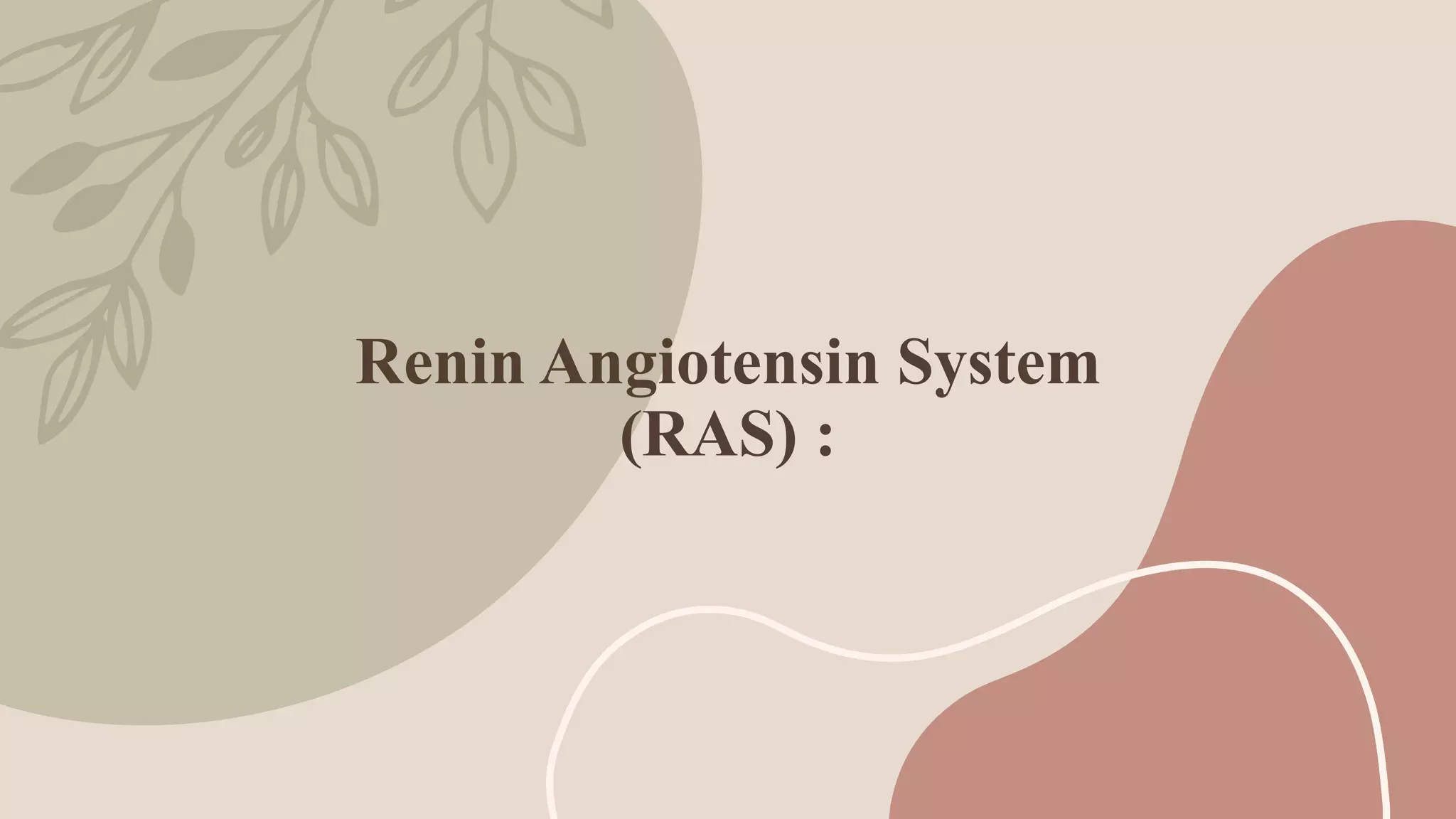 Renin Angiotensin Aldosterone System (RAAS).pptx