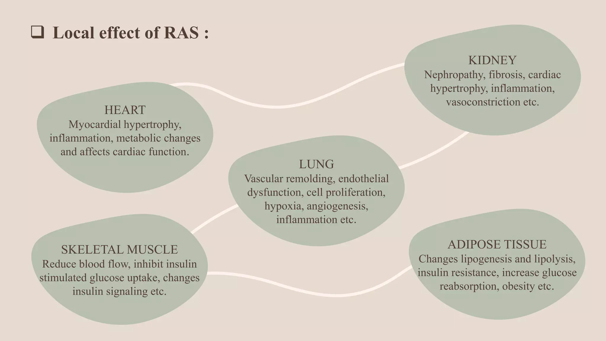 Renin Angiotensin Aldosterone System (RAAS).pptx