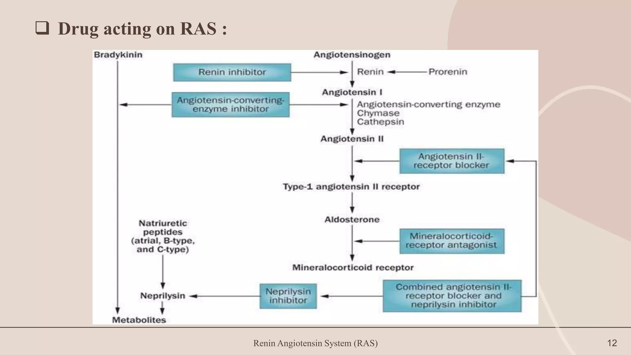 Renin Angiotensin Aldosterone System (RAAS).pptx