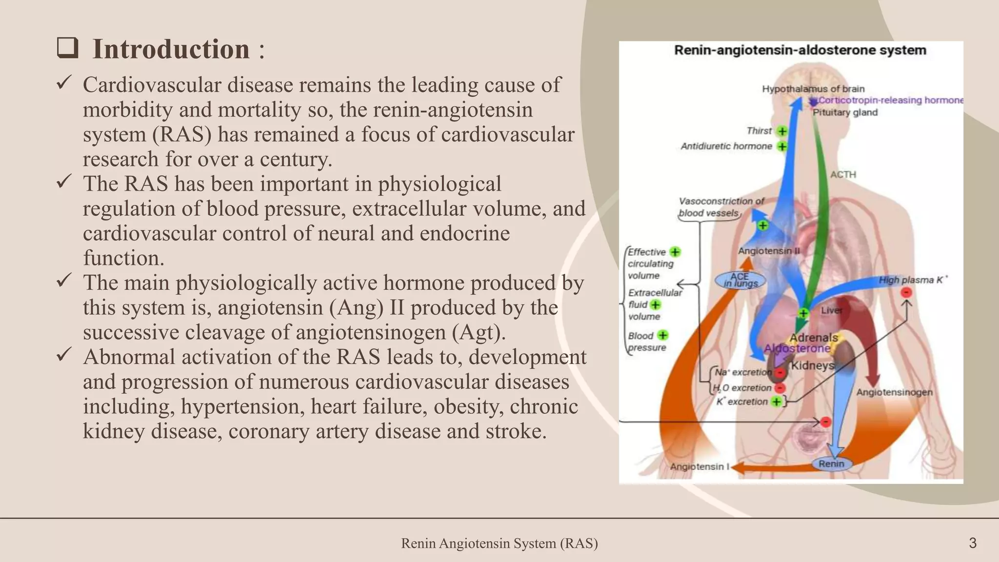 Renin Angiotensin Aldosterone System (RAAS).pptx