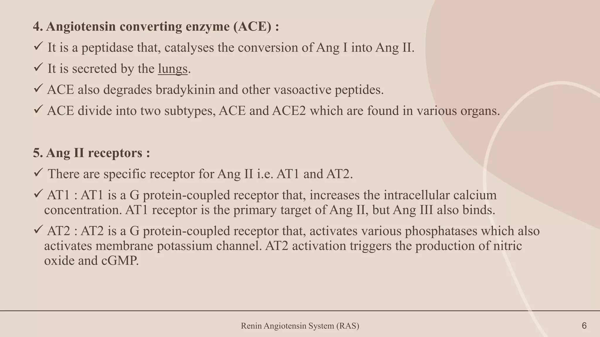 Renin Angiotensin Aldosterone System (RAAS).pptx