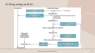 Renin Angiotensin Aldosterone System (RAAS).pptx