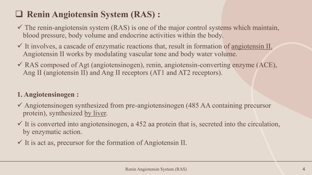 Renin Angiotensin Aldosterone System (RAAS).pptx