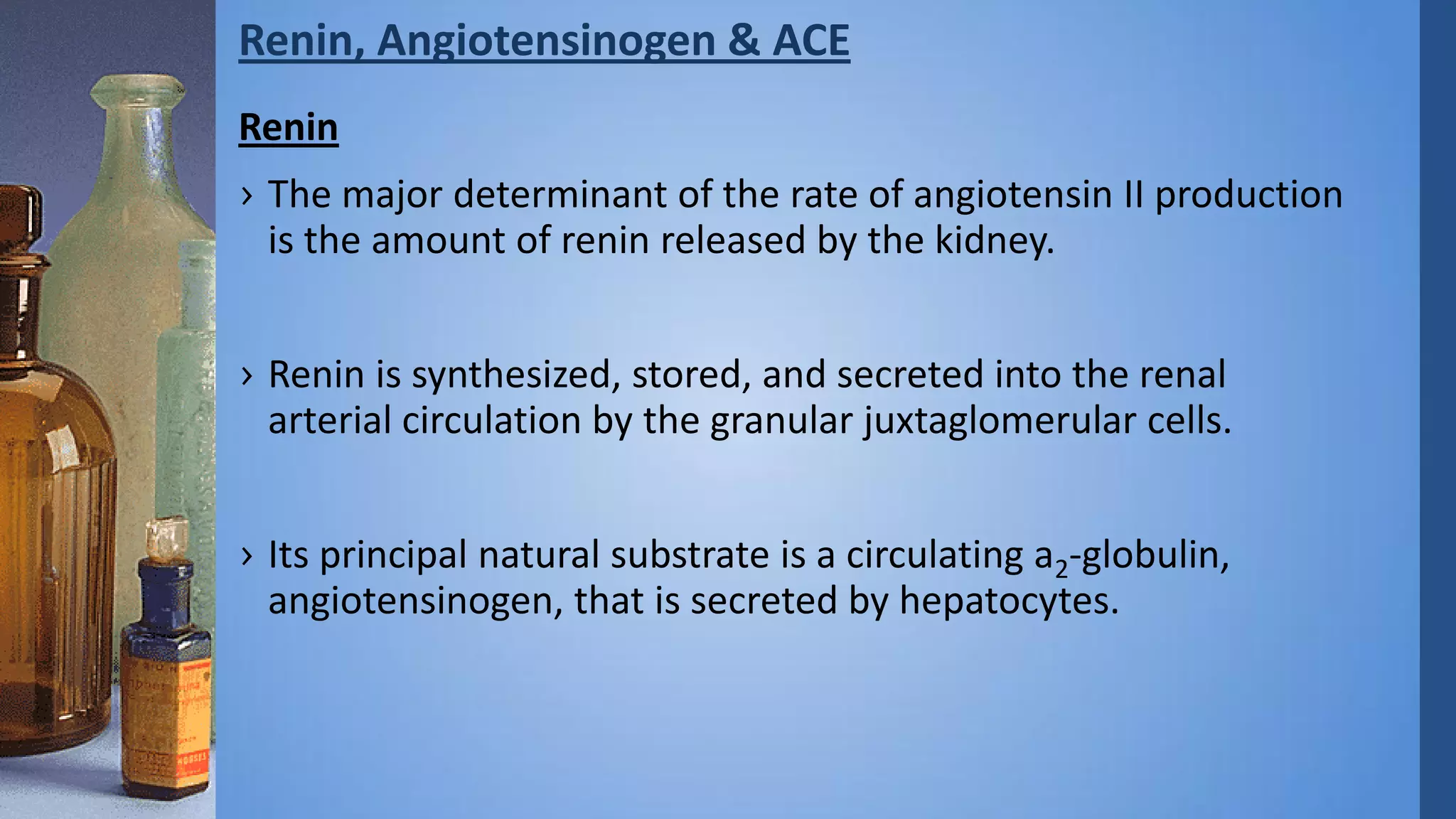 Renin angiotensin system & drugs | PDF