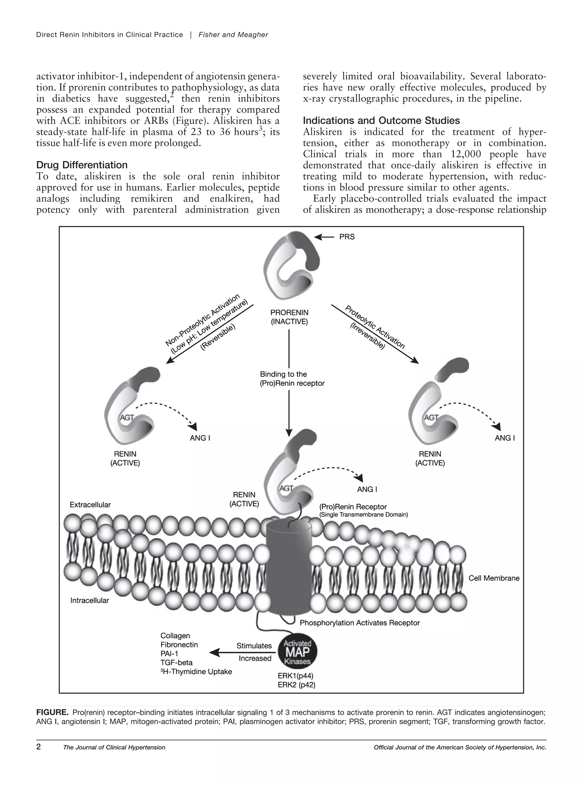 Renin inhibitors | PDF