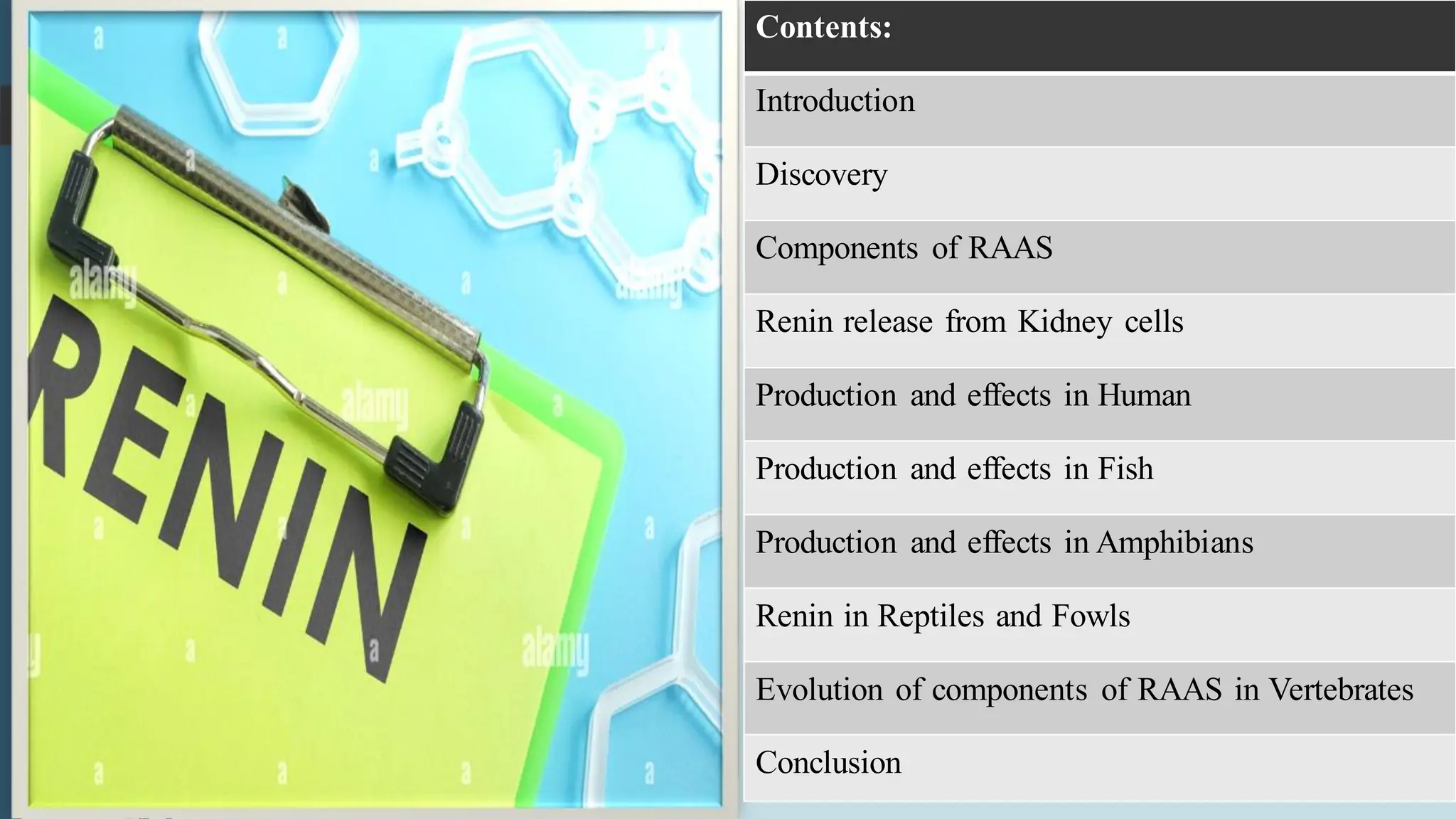 Renin in Vertebrates-1.pdf