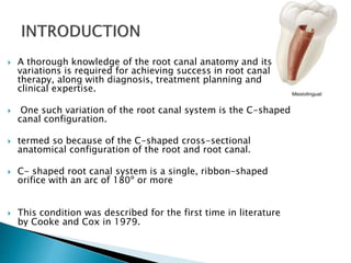 Renjith c shaped canal configuration | PPTX