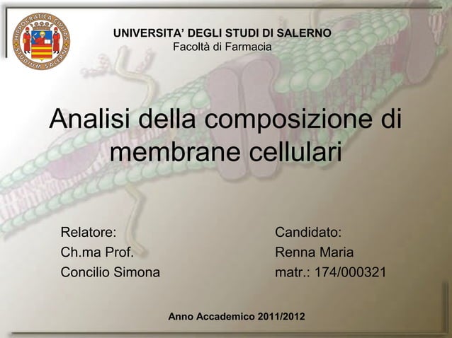 Tesi Maria Renna | PPT