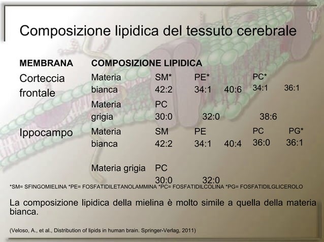 Tesi Maria Renna | PPT