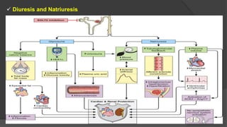 Renoprotective anti diabetic drugs | PPT