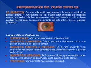 Renovación, migración y diferenciación de las células histologìa | PPTX