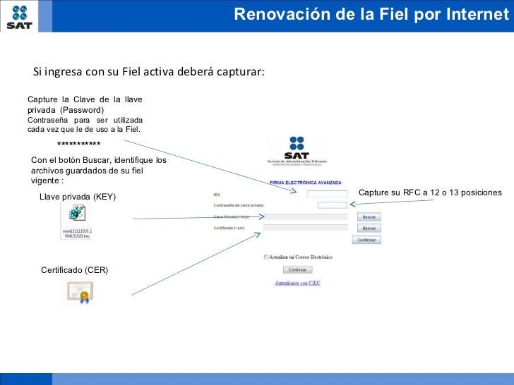 Revocar Fiel Sat