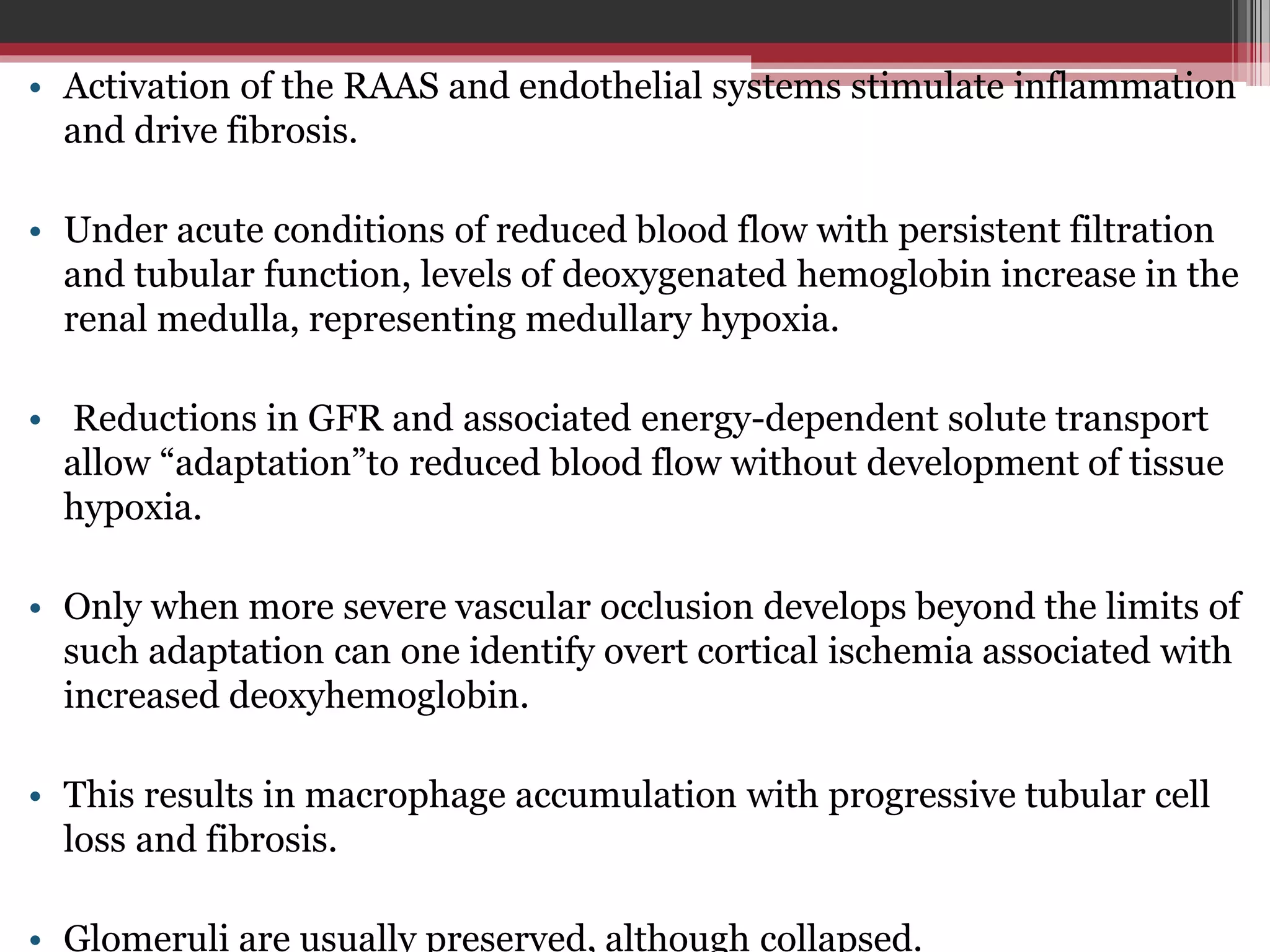 Renovascular hypertension(rvh) | PPTX