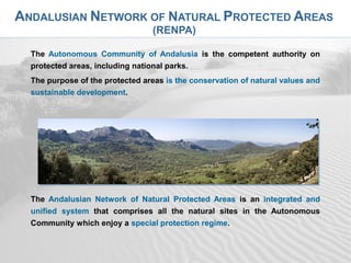 Protected Areas Management Policy of Andalusia | PDF