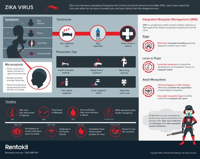 Rentokil zika-infographic | PDF | Infectious Diseases | Diseases and ...