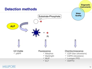 Calidad del agua en el laboratorio | PPT