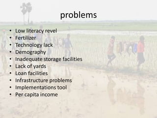 Problem of agricultural marketing in INDIA & challenges | PPTX