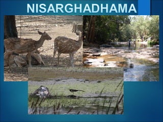 Coorg | PPT