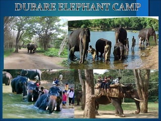 Coorg | PPT