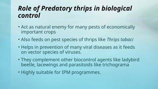 Role of predatory thrips In Biological control Ento.pptx