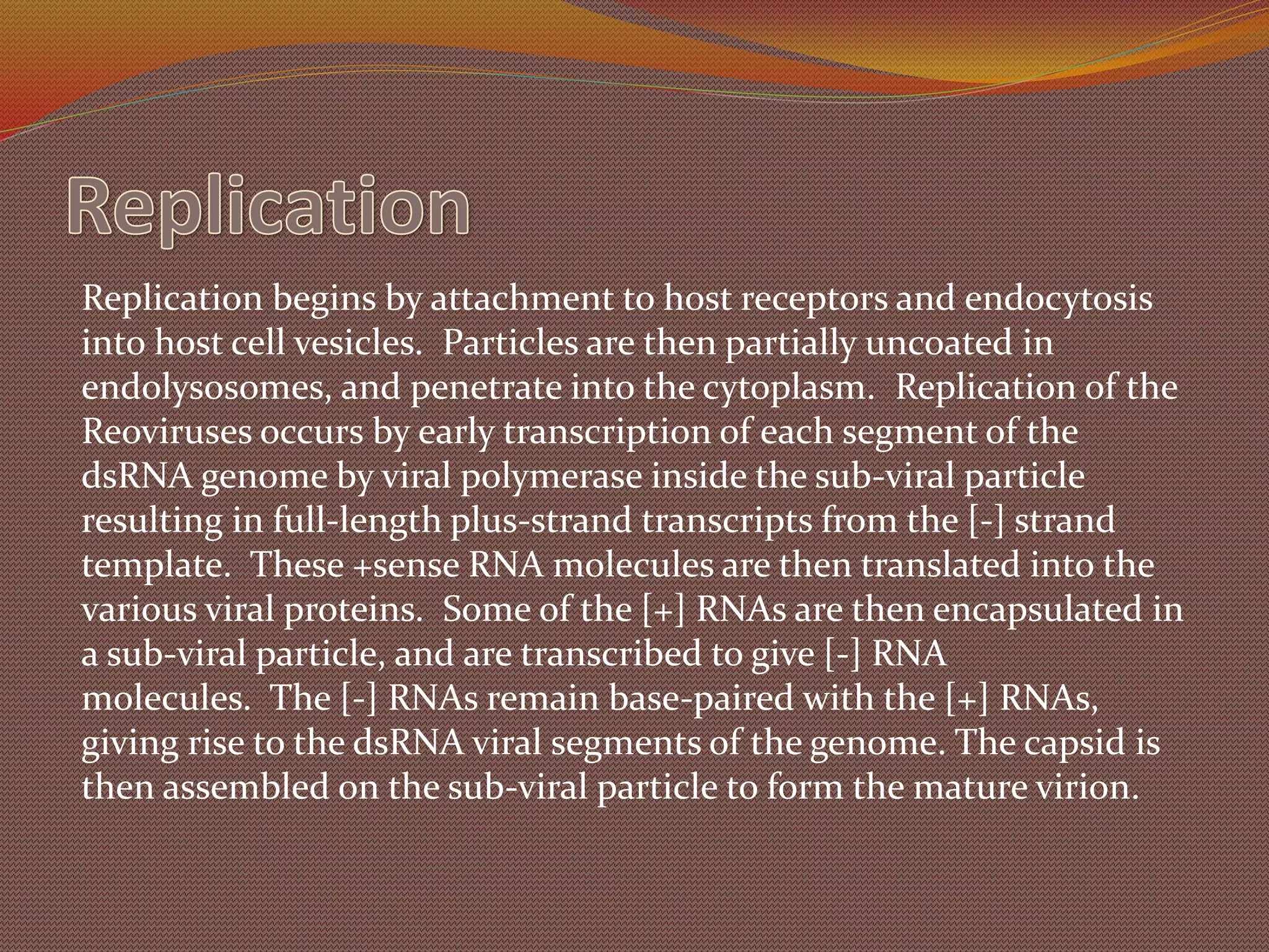 Reoviruses/Reoviridae and Rotavirus | PPTX