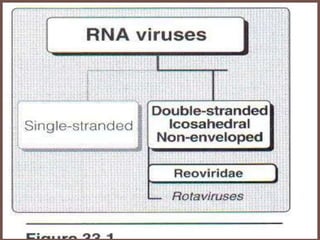 Reoviruses/Reoviridae and Rotavirus | PPTX