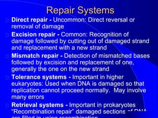 DNA Repair | PPT