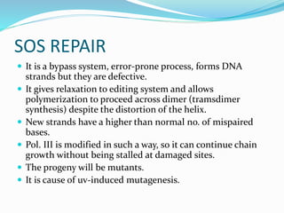 Repair.ppt