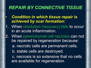 Repair and healing_1 | PPT