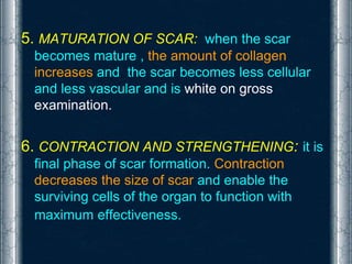 Repair and healing_1 | PPT