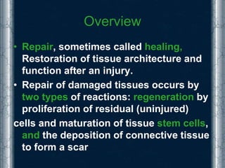 Repair and healing_1 | PPT