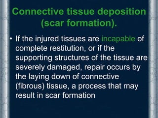 Repair and healing_1 | PPT