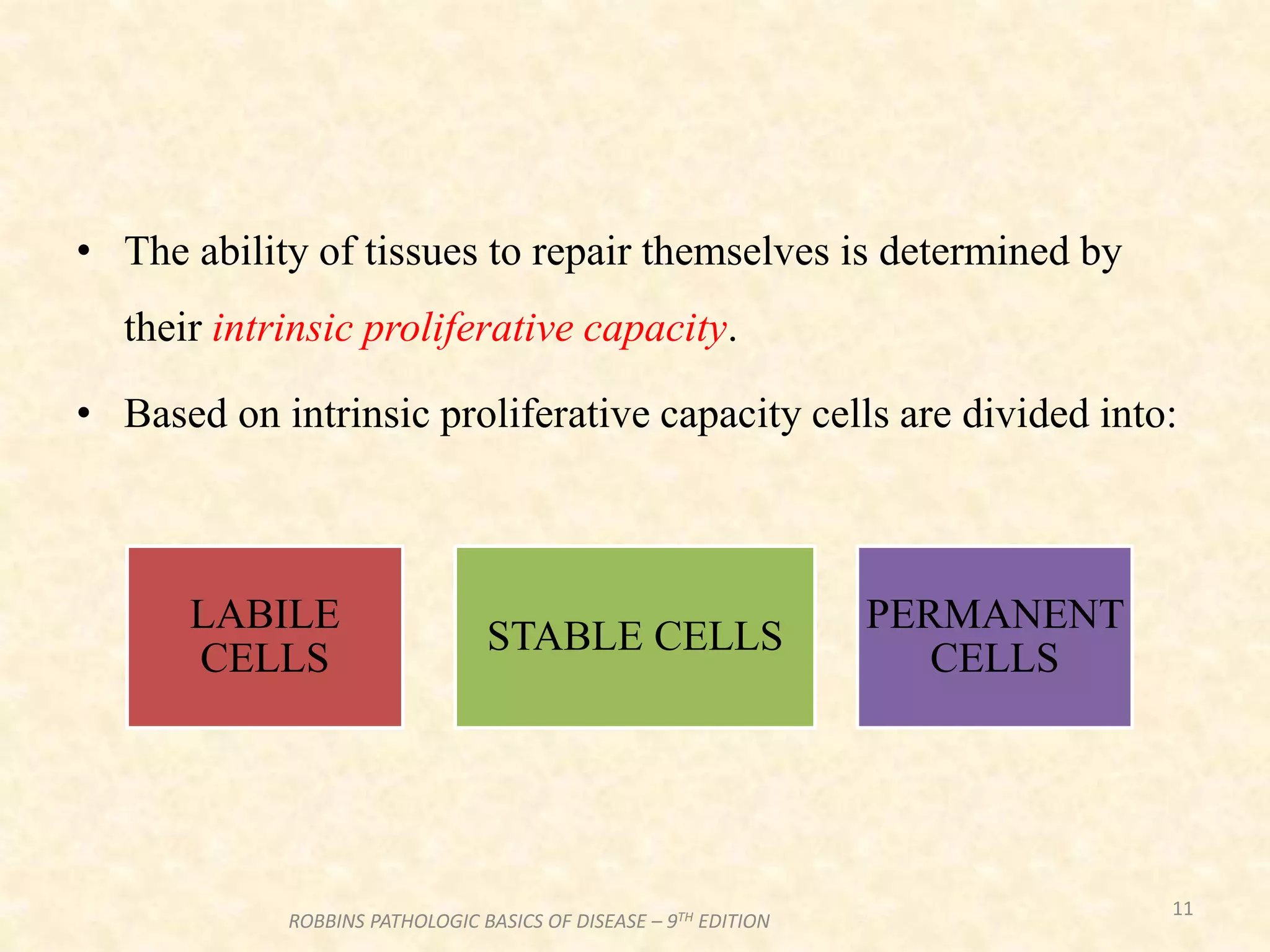 Repair and Regeneration.pptx