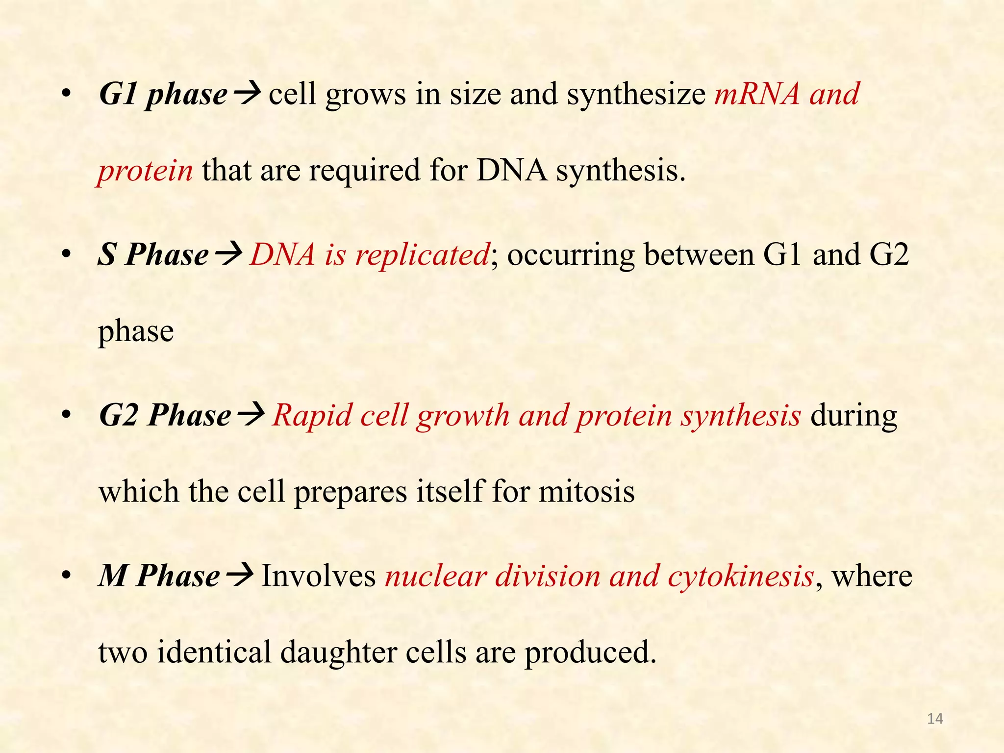 Repair and Regeneration.pptx