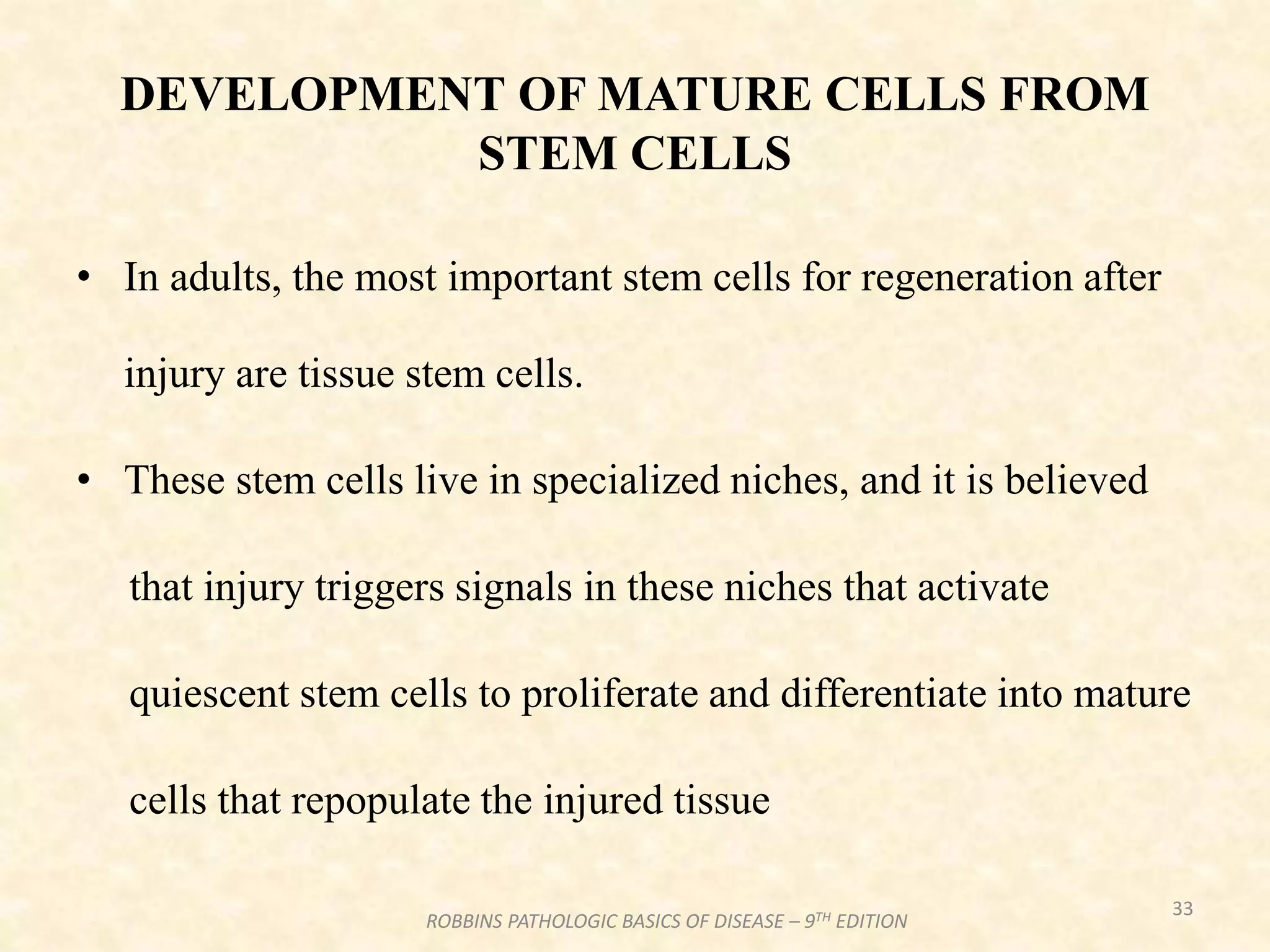Repair and Regeneration.pptx