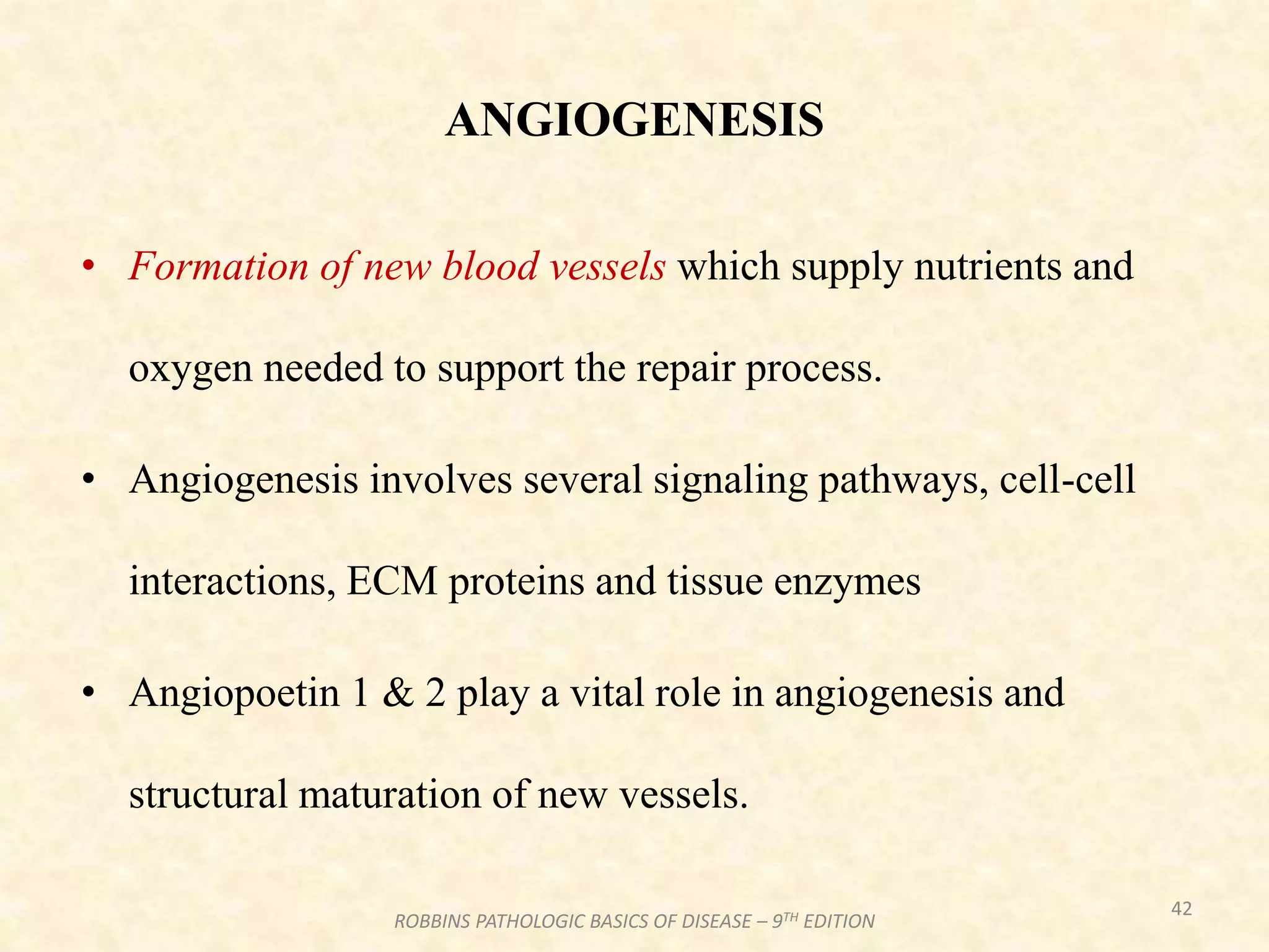Repair and Regeneration.pptx