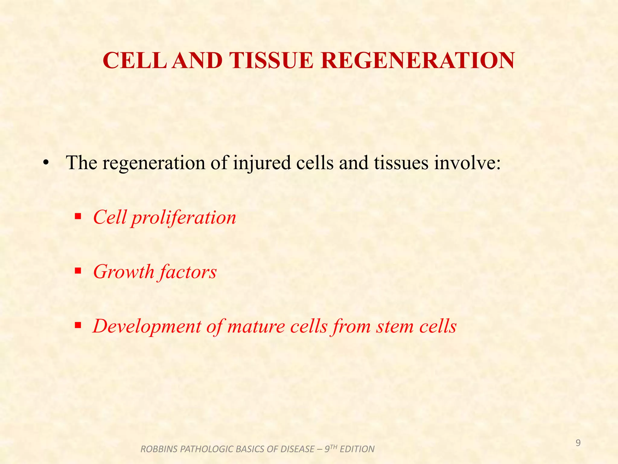 Repair and Regeneration.pptx