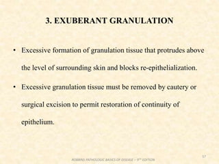 Repair and Regeneration.pptx