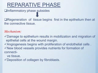 Repair and regeneration of oral tissue | PPTX