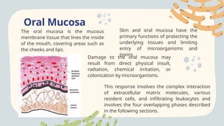 REPAIR AND REGENERATION OF ORAL TISSUES _20260206_101230_0000.pptx