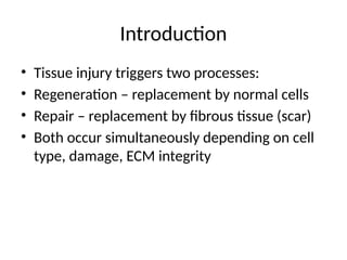 Repair_and_Regeneration_mbbsPathology.pptx